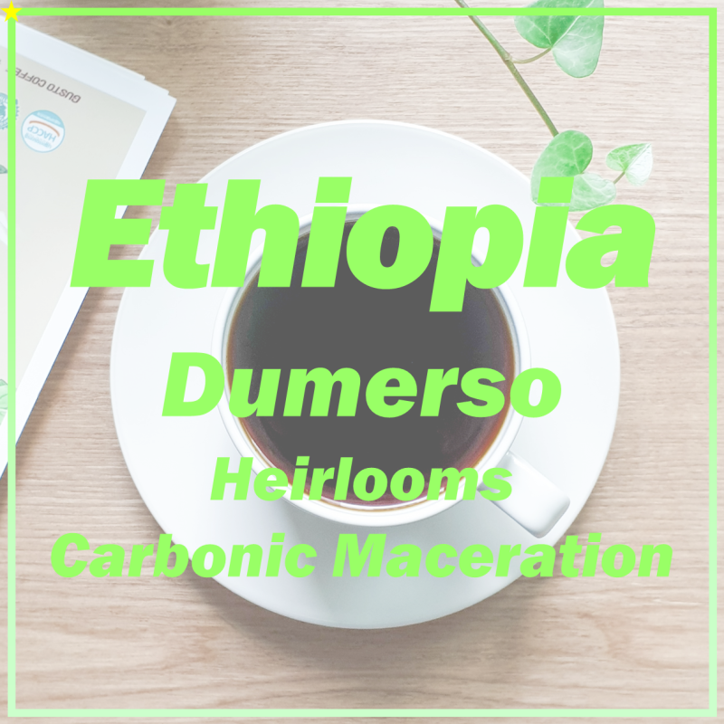 *2020-076. [커피왕자/나무사이로] 에티오피아 두메르소 카보닉, Ethiopia Dumerso Carbonic ...
