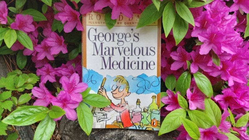 George's Marvelous Medicine by Roald Dahl : 네이버 블로그