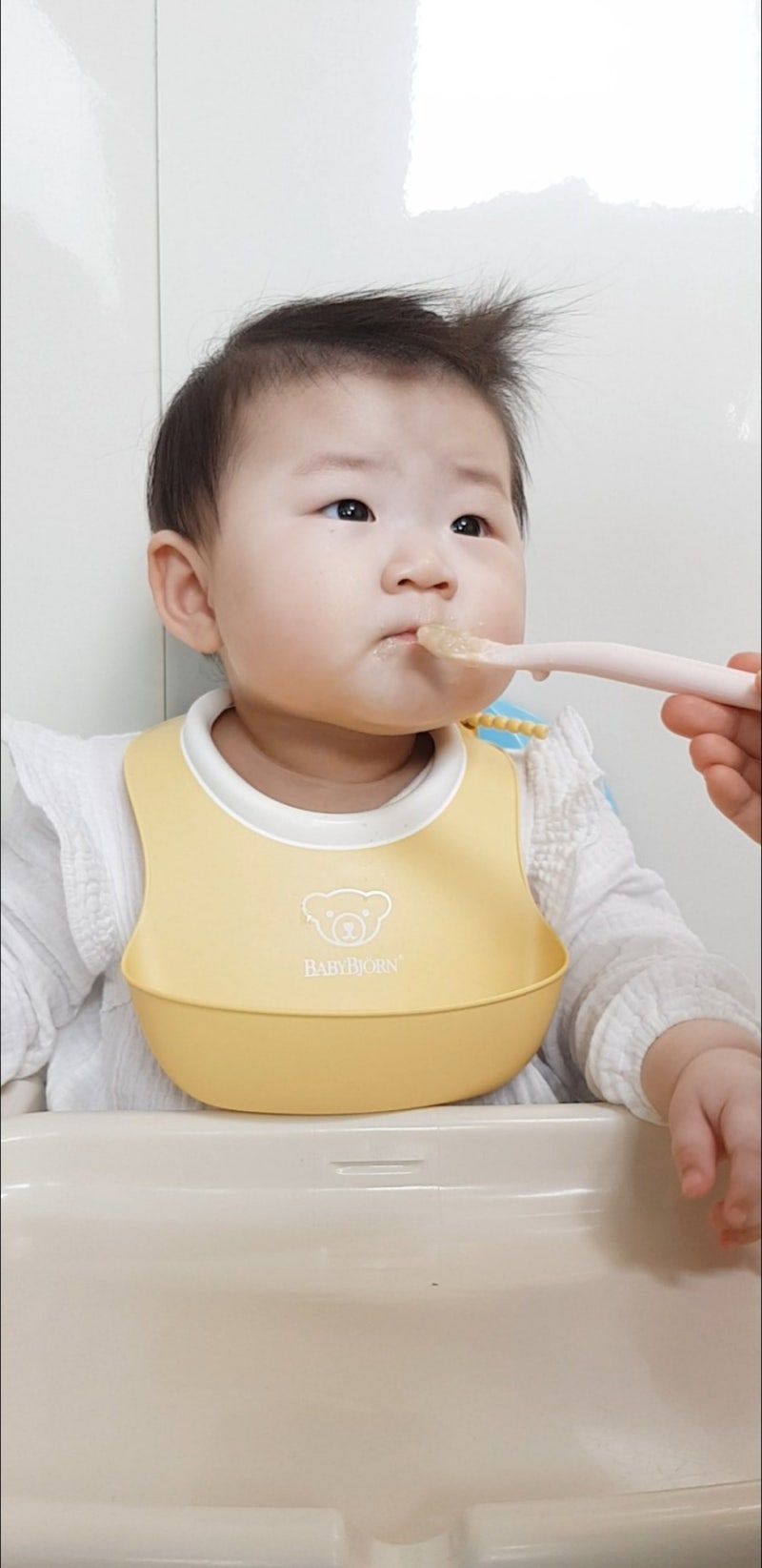 중기이유식 2단계 8개월 중기이유식 거부 11아욱감자소고기죽 아보카도소고기죽 12 대추사과소고기죽 밤소고기죽