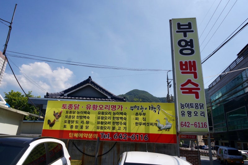 대구 달서구맛집 대구능이백숙 부영백숙 오리한방수육 대구월광수변공원맛집 네이버 블로그