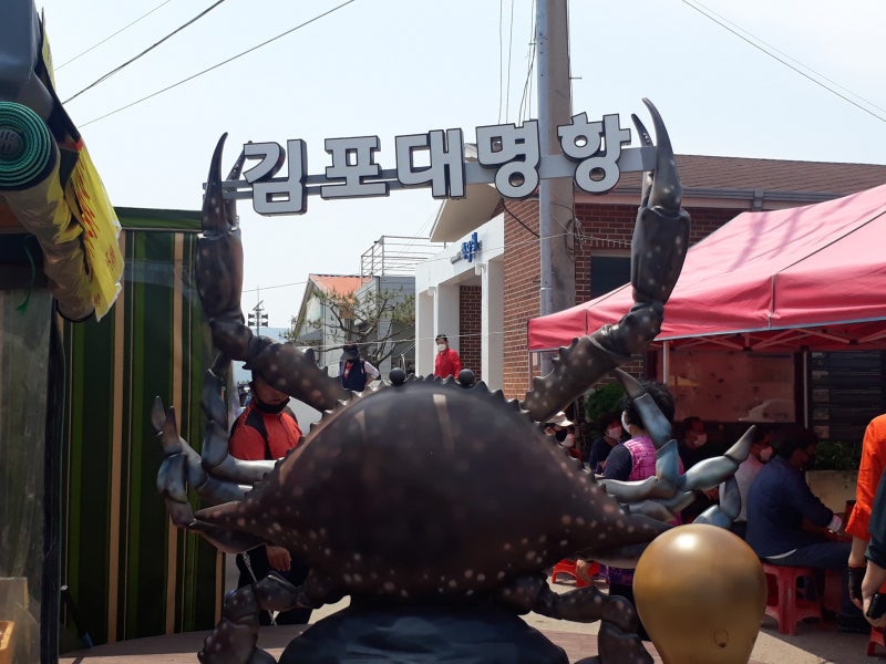 김포대명항 블루베리농장 청양친환경블루베리 블루베리가격 네이버 블로그