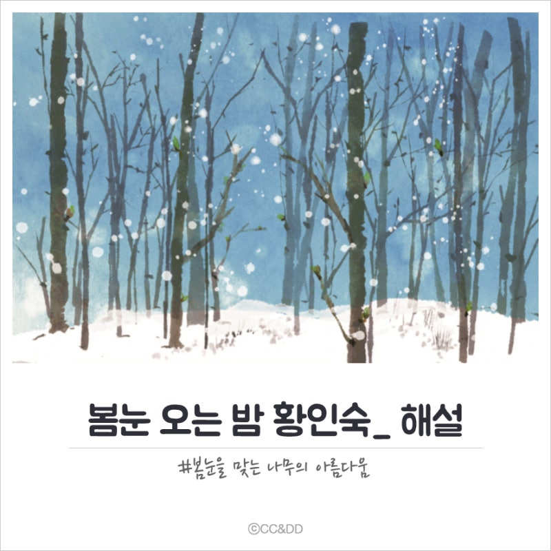 봄눈 오는 밤 해석 및 해설 주제 핵심정리 황인숙 네이버 블로그