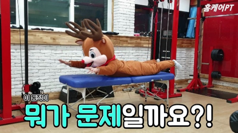 허리디스크에 나쁜 운동 슈퍼맨 자세척추기립근 통증 네이버 블로그
