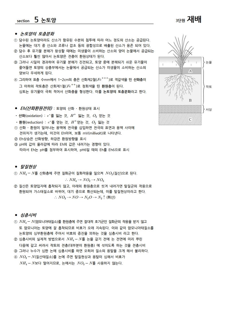 임용합격수기식물자원 조경 교사 네이버 블로그