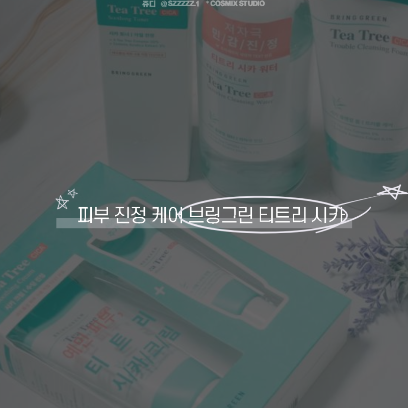 여드름피부 클렌징 올리브영 추천템 브링그린 티트리 시카 라인 네이버 블로그