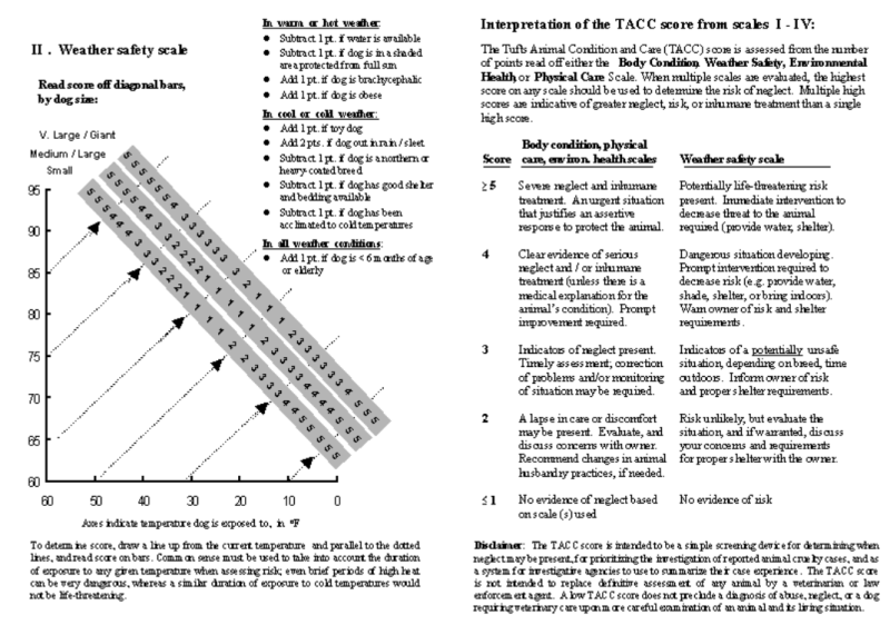 강아지도 추위를 타나요? : 네이버 블로그