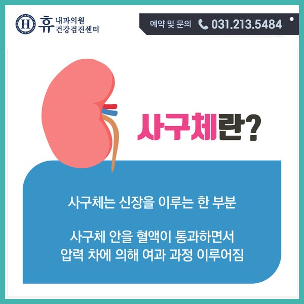 신사구체여과율e Gfr 신장기능검사로 신장건강 알아봐요 휴내과 네이버 블로그