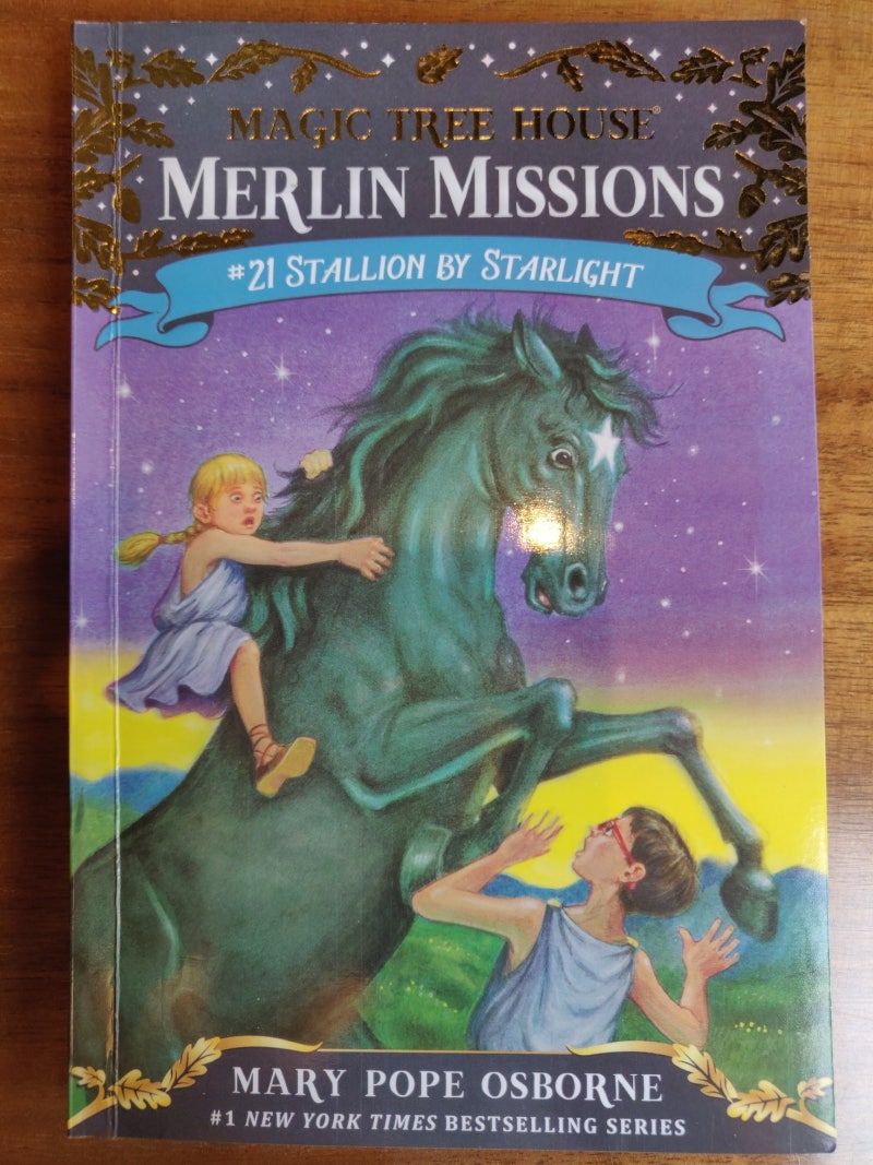[매직트리하우스_멀린미션] Book#21 Stallion By Starlight : 네이버 블로그