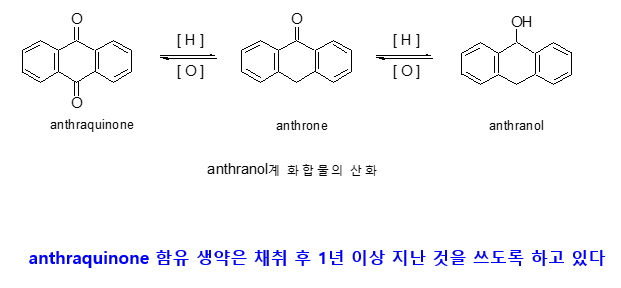 [생약/한약19] 대황의 효능, 특징, 응용 : 네이버 블로그