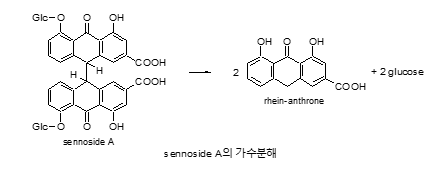 [생약/한약19] 대황의 효능, 특징, 응용 : 네이버 블로그