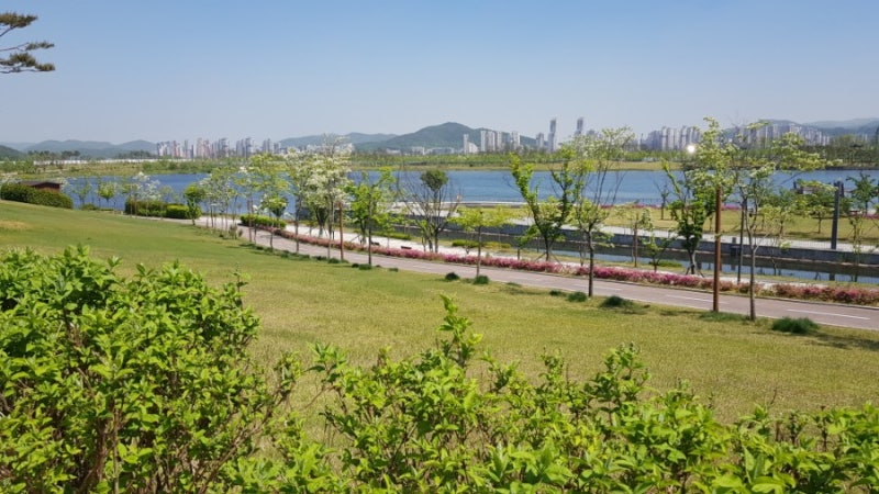 세종시 부동산 소담동 새샘마을 9단지 중흥 리버뷰 아파트 안내 네이버 블로그
