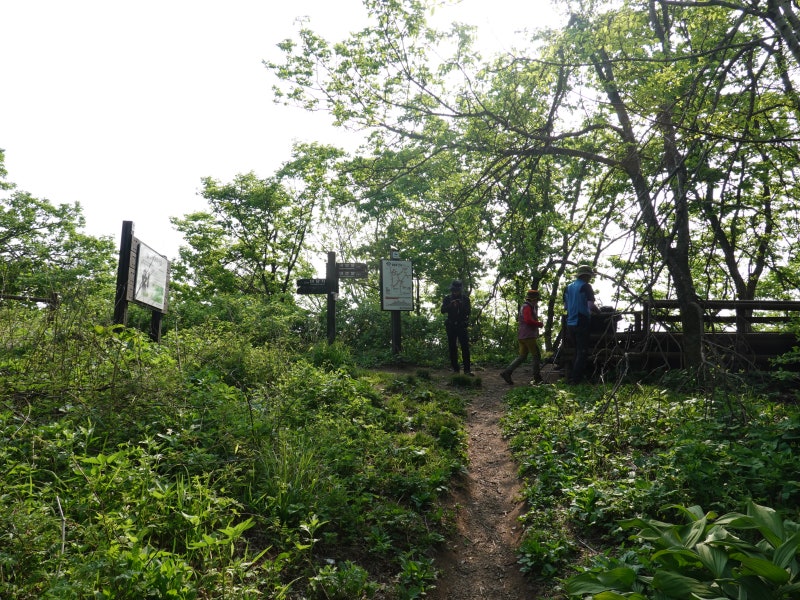 소백산국망봉비로봉철쭉산행등산코스어의곡환종주 소백산 조망이 없으면 소백산 철쭉에 집중하라 네이버 블로그