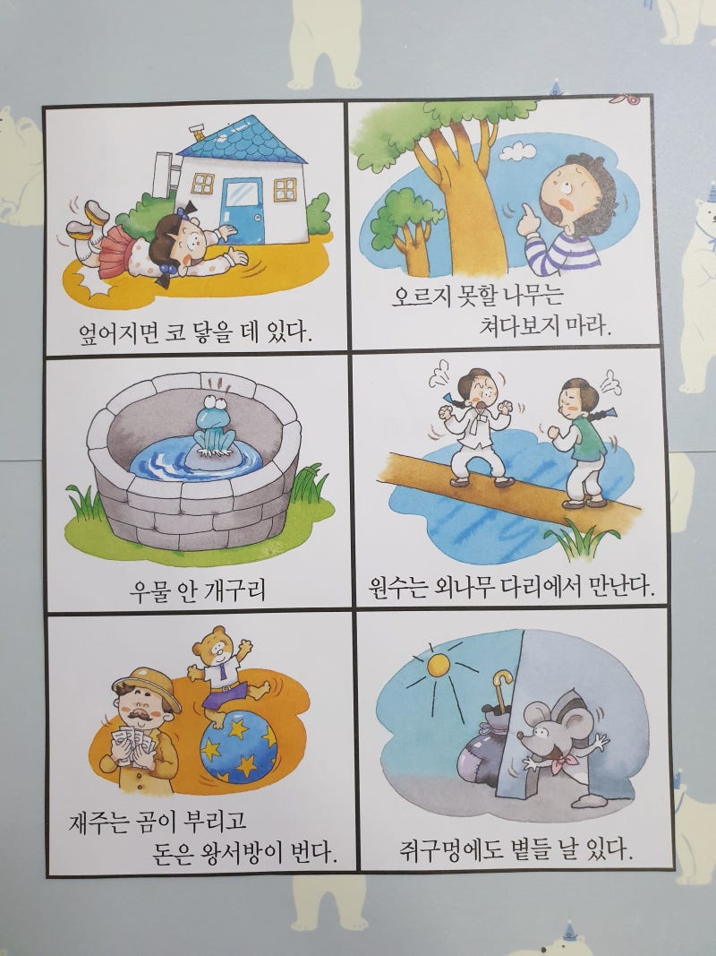 초등 6학년 국어 속담 100가지 속담 뜻 모음 사전 네이버 블로그