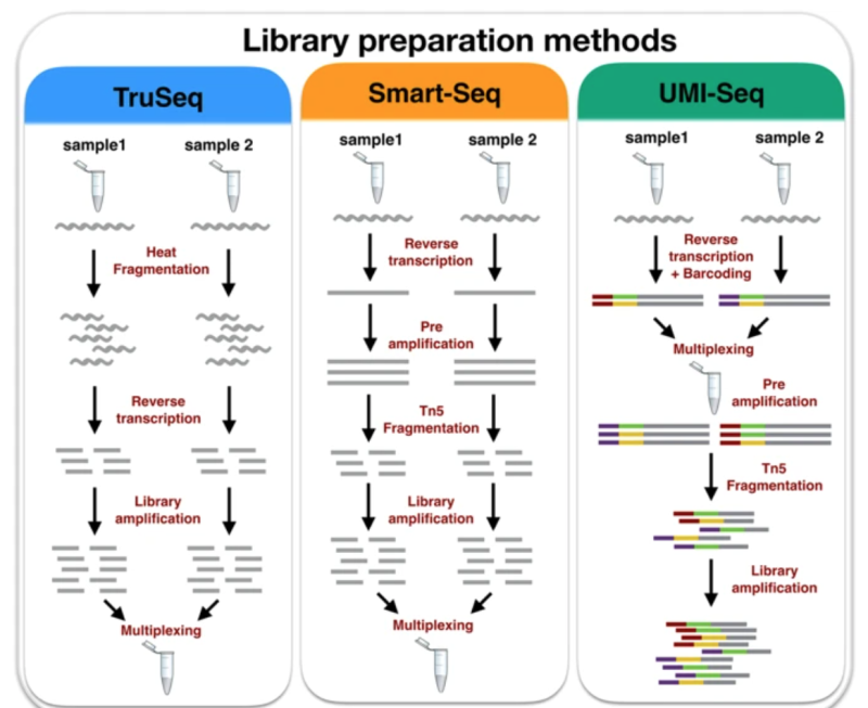 library amplification Truseq vs Smartseq : 네이버 블로그