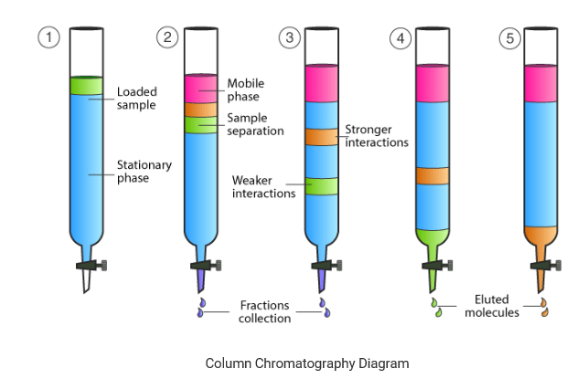 (유기화학)Esterification(Menthol), TLC(Thin layer Chromatography), Column ...