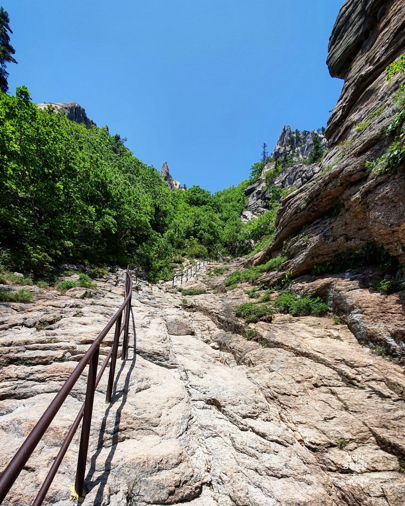 설악산 종주 당일치기 코스 오색 대청봉 희운각대피소 공룡능선 신선대 1275봉 큰새봉 나한봉 마등령