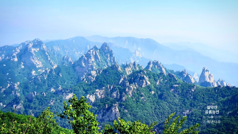 설악산 종주 당일치기 코스 오색 대청봉 희운각대피소 공룡능선 신선대 1275봉 큰새봉 나한봉 마등령