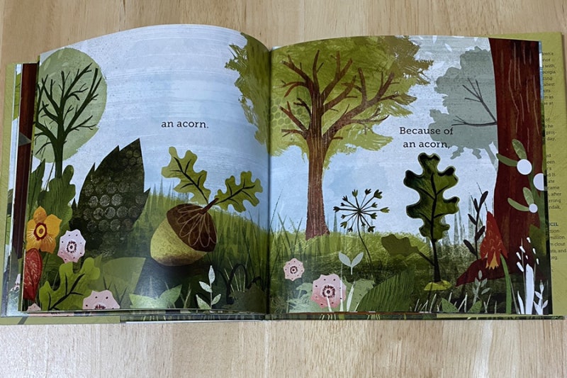 (영어원서)자연관찰 영어그림책 / 감성 영어동화 Because of an acorn : 네이버 블로그