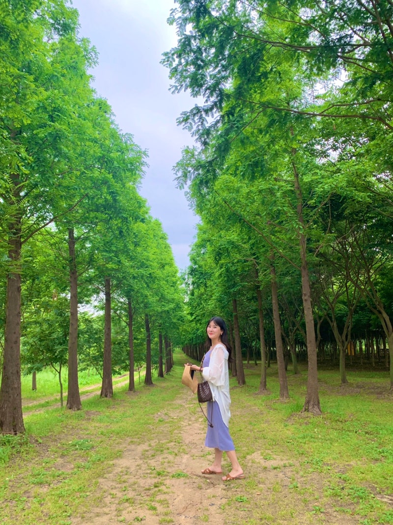당진 아그로랜드 태신목장 수레국화 가볼만한곳 ♥ 네이버 블로그