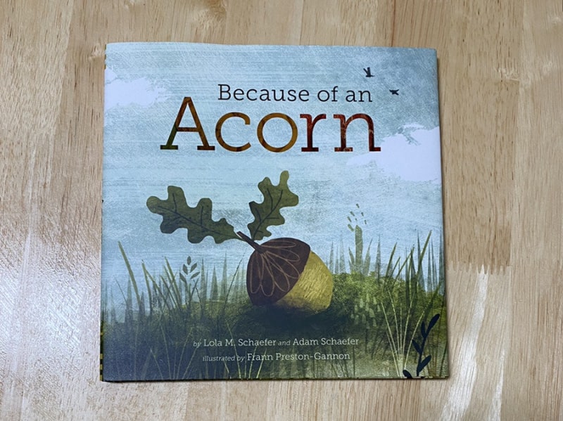 (영어원서)자연관찰 영어그림책 / 감성 영어동화 Because of an acorn : 네이버 블로그