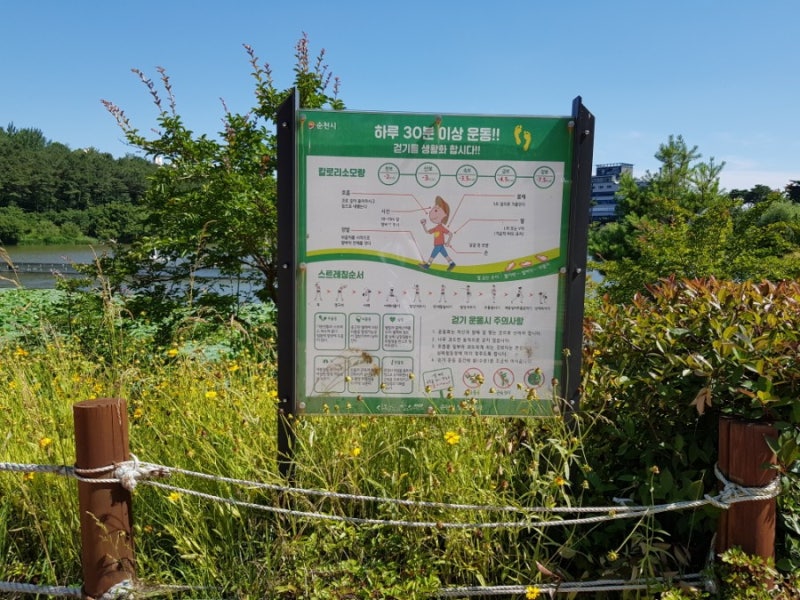 전남 순천 맛집과 카페가 모여있는 조례호수공원 네이버 블로그