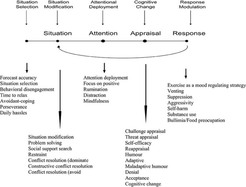 [조직행동론] 감정 규율 이론(Emotion Regulation Theory) : 네이버 블로그