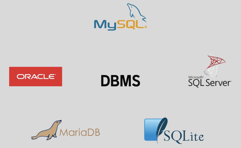 데이터베이스와 DBMS, SQL 개념 살펴보기 : 네이버 블로그