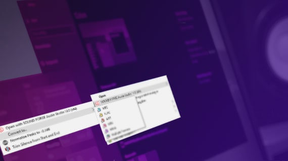 사운드 편집& 오디오 마스터링을 위한 소프트웨어: SoundForge Pro 14(사운드 포지) : 네이버 블로그