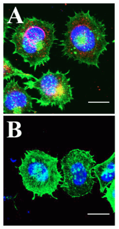 VERU-111, 코로나 치료효과 2단계 임상 개시 : 네이버 블로그