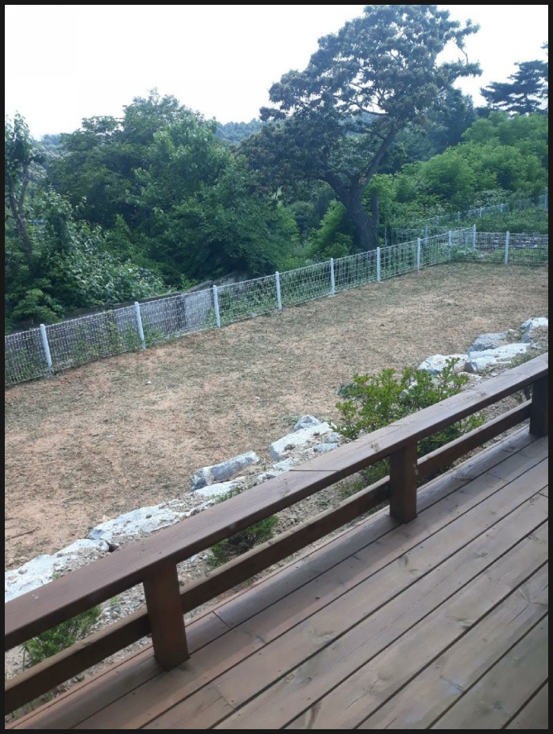 충남 홍성 신축 전원주택 급매 매매 대198평 건31평 매2억 저수지 옆 주택 부동산 토지 투자 땅 매매 맛집 홍성한우 충남
