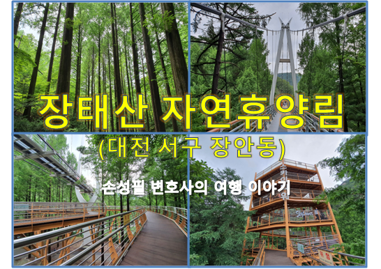 대전 여행 장태산 자연휴양림 메타세콰이어 출렁다리 스카이웨이스카이워크 스카이 타워 숲속어드벤쳐 장태루