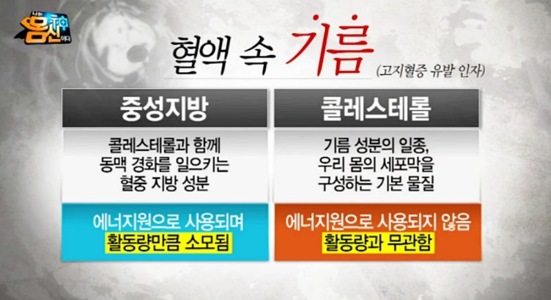고지혈증 좋은 음식 나쁜 콜레스테롤 수치 동맥경화 원인증상 영양제 약부작용 네이버 블로그