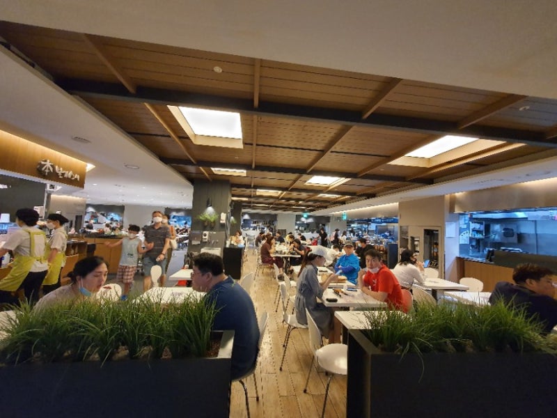압구정 현대백화점 푸드코트 옥상정원 꿀조합 돈까스 물냉면 그리고 백미당 아이스크림 수국 네이버 블로그