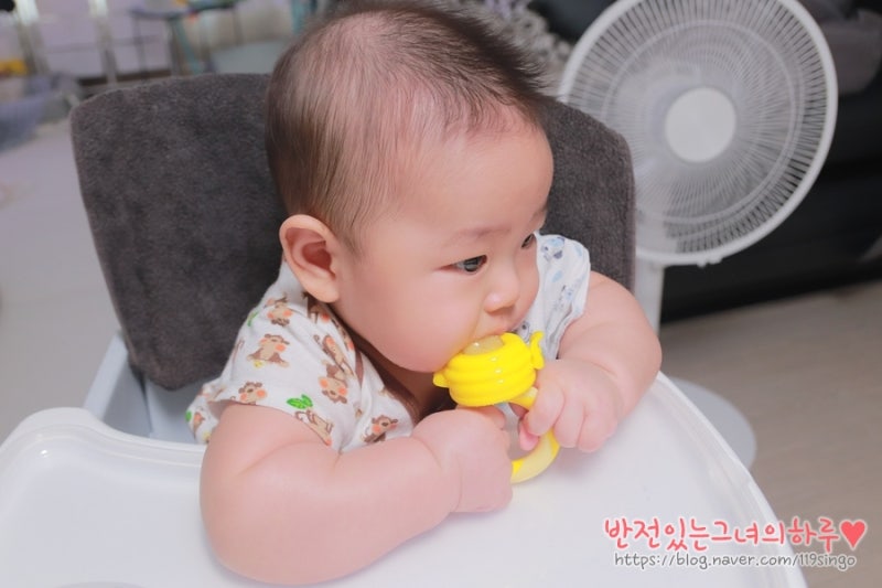 롤리팝 아기 과즙망 아기과일시기 맞춰 준비해봄 네이버 블로그