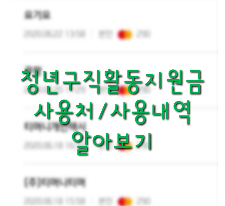 청년구직활동지원금 청년구직활동지원금 사용처 알아보기3개월간 포인트 사용 내역청년구직활동지원금 사용처 내역 정리구활금