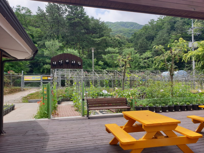 6st 포항 구룡포 땅끝황토펜션 오토캠핑장 1박2일 바다뷰 캠핑 네이버 블로그