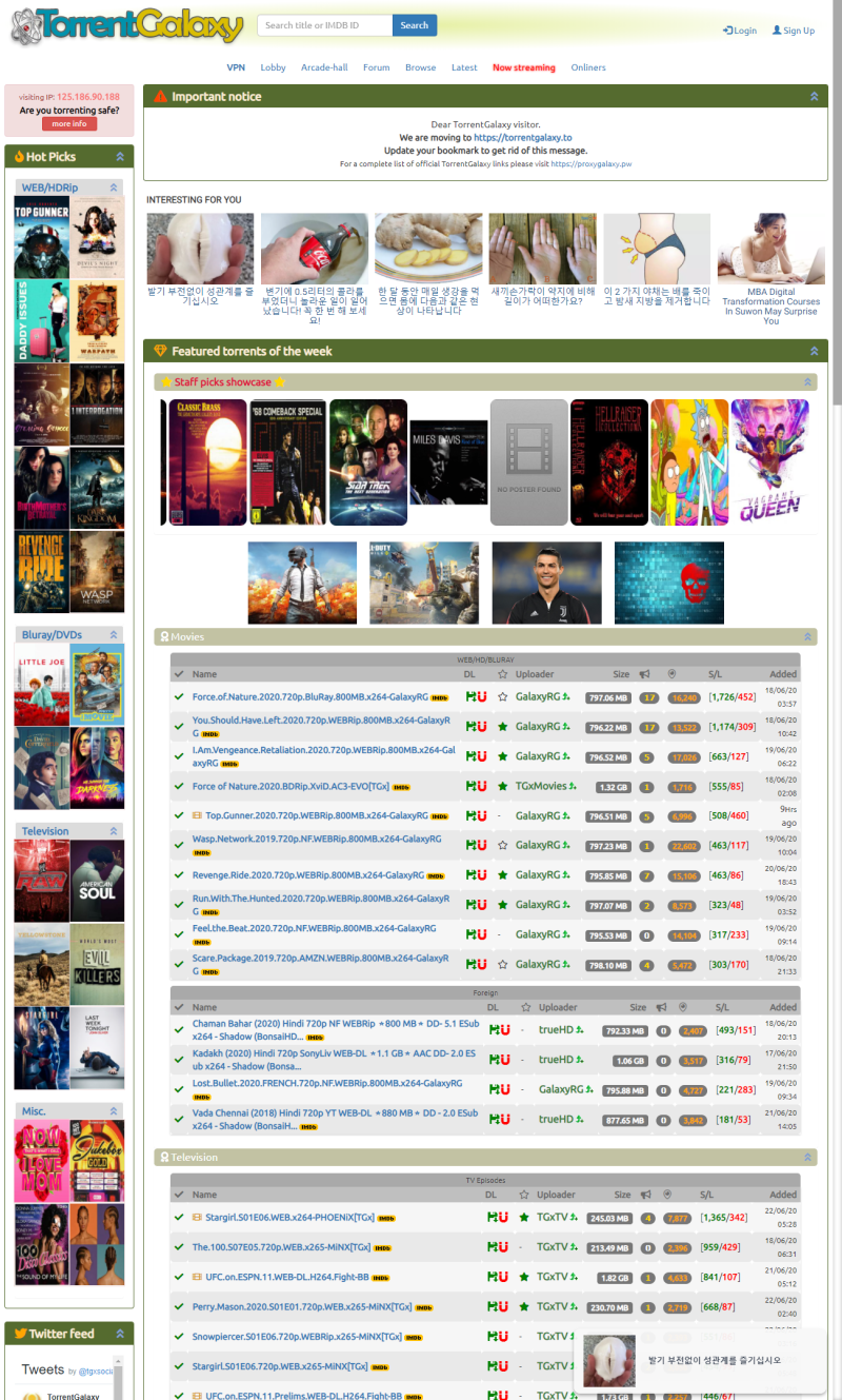 토렌트 순위, 토렌트 사이트 - 국내편/해외편 (ver 2020.06.24) : 네이버 블로그