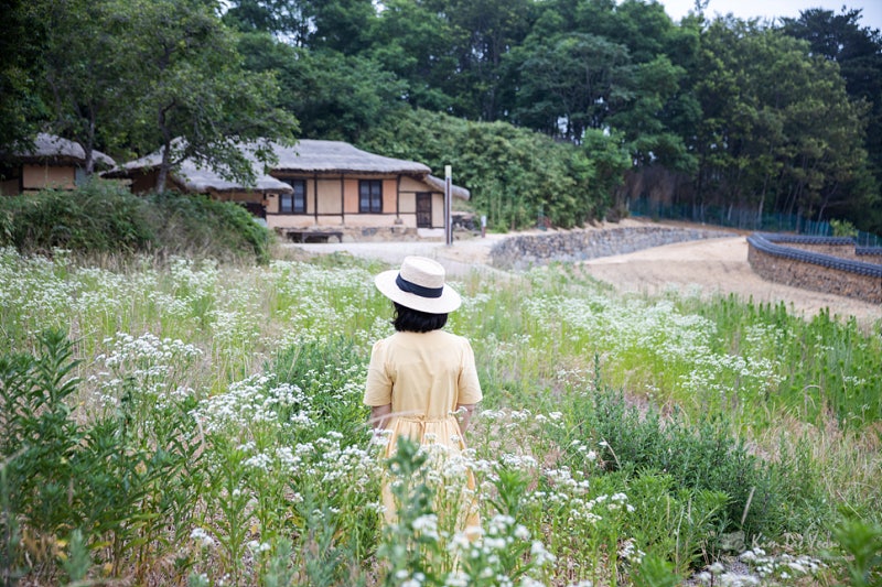 강원도 고성 가볼만한 곳 한옥마을 고성 왕곡마을 네이버 블로그