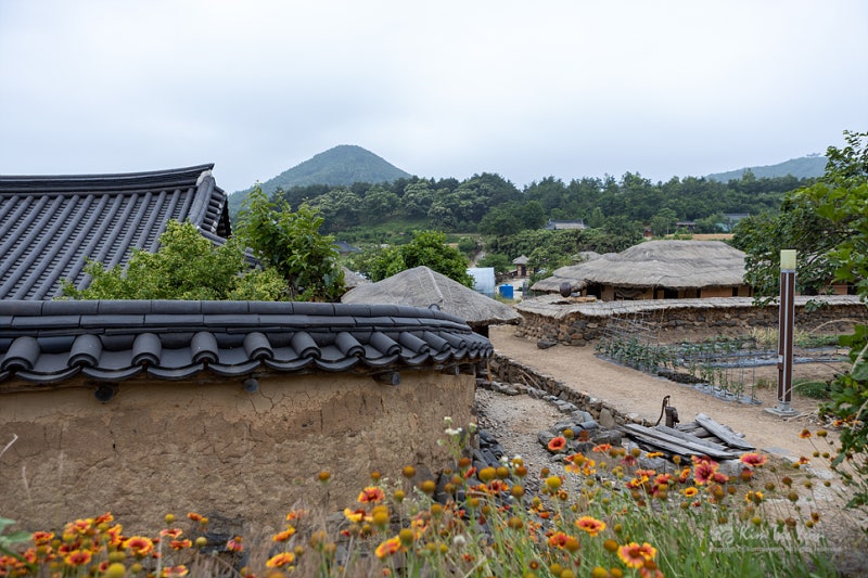 강원도 고성 가볼만한 곳 한옥마을 고성 왕곡마을 네이버 블로그