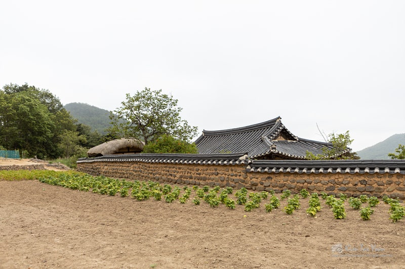 강원도 고성 가볼만한 곳 한옥마을 고성 왕곡마을 네이버 블로그