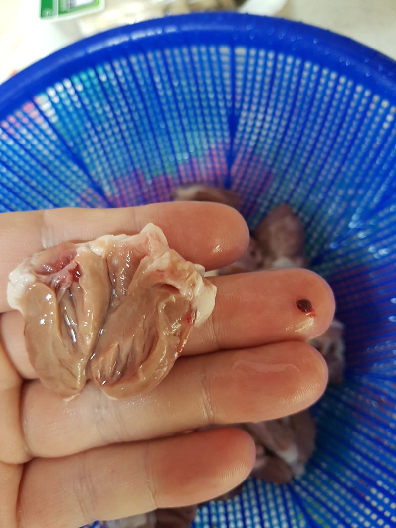 염통꼬치 소스 볶음 포장마차 스타일 네이버 블로그
