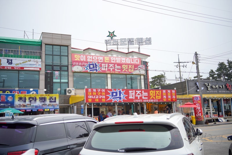 안면도 조개구이 막퍼주는횟집 푸짐하게 먹어요 네이버 블로그
