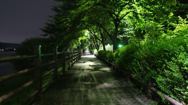 광교산등산코스 반딧불이형제봉문암골코스 네이버 블로그