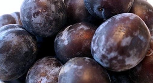 말린 자두 두번째 이야기 프룬prune 변비에 특효 네이버 블로그