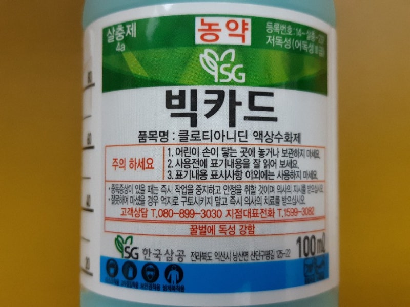뿌리파리 퇴치빅카드 사용법작은뿌리파리성충유충 동영상끈끈이 트랩과산화수소수감자뿌리파리 박멸 네이버 블로그