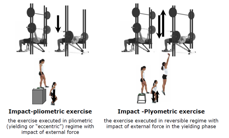 Plyometric training(플라이오메트릭 트레이닝) [2] : 네이버 블로그