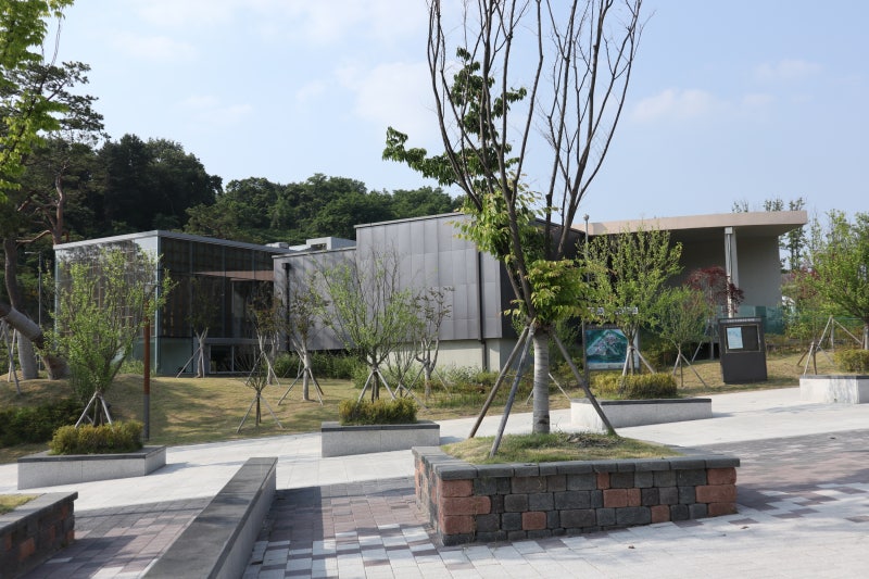 세종 가볼만한 곳 무궁화테마공원 유아숲체험원에서 전월산 등산까지 20200607 네이버 블로그