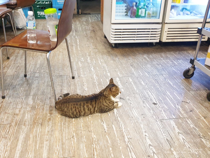 인천청라맛집 청라에서 먹고 온 맛있는 덜 매운묵은지등갈비찜맵찔이도 가능 빨간돼지 청라점 네이버 블로그