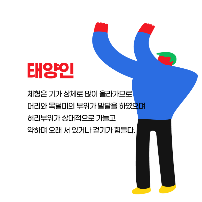 태양인태음인소양인소음인 난 무슨 체질일까 창원 성산구 다이어트 네이버 블로그