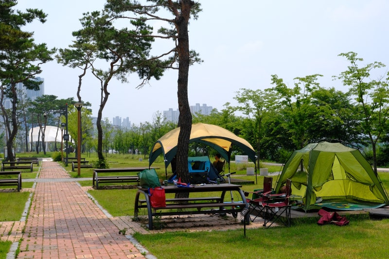세종시 금강수변공원 피크닉테이블 예약 방법 및 주말나들이 네이버 블로그